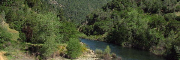 Auburn California RV Park and Family Campground Resort